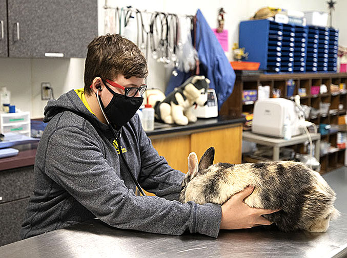 Final spotlight of year on Veterinary Science Technology (VST) program ...
